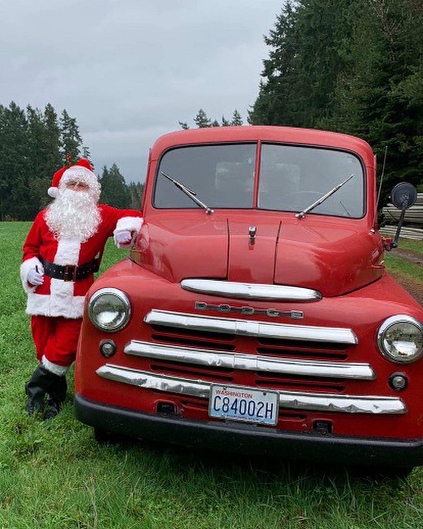 Christmas Season – Bainbridge Island/Suyematsu Farms